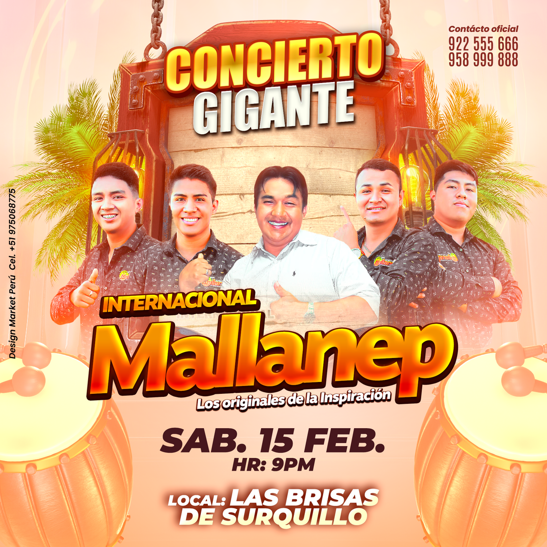 Flyer, post para redes sociales Modelo Mallanep – Design Market Perú